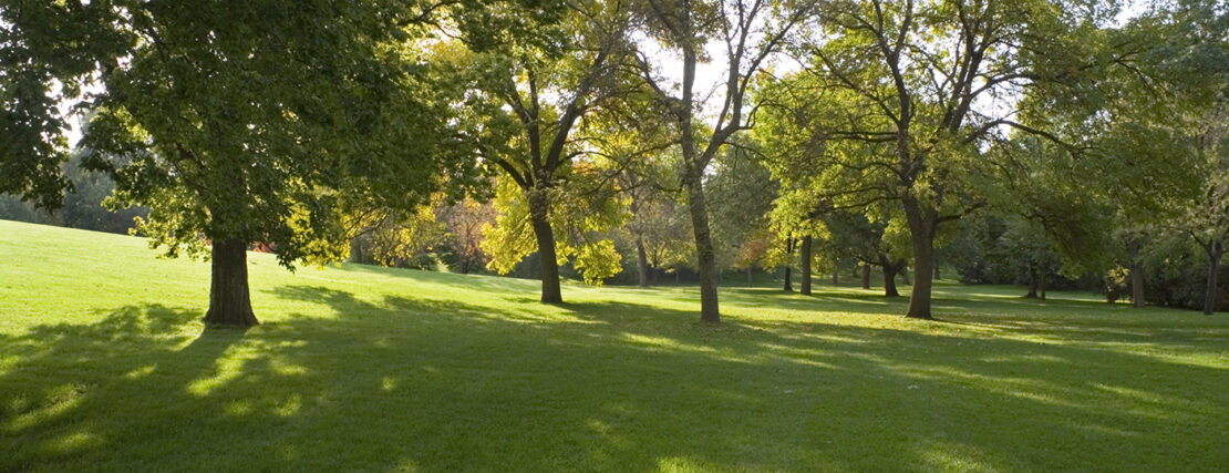 Wiper YARD RTK - Hako